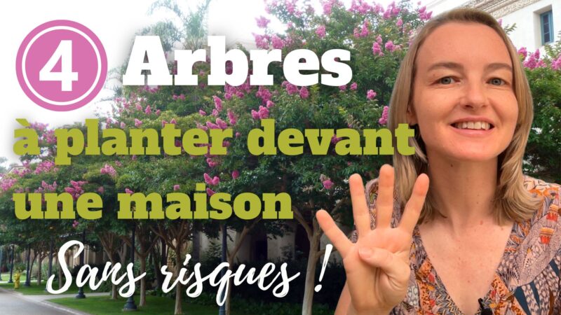 4 Arbres à Planter Devant Une Maison Sans Risques Aménager Son Jardin